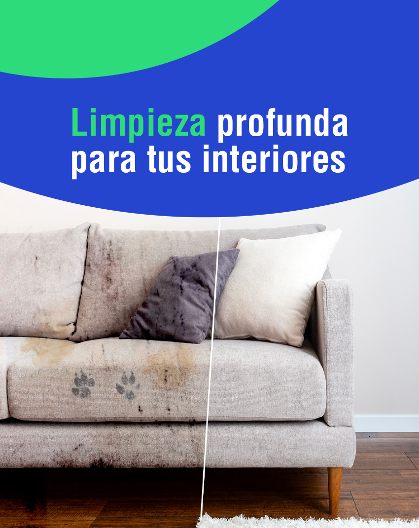 TUTTO CLEAN - LIMPIEZA A DOMICILIO